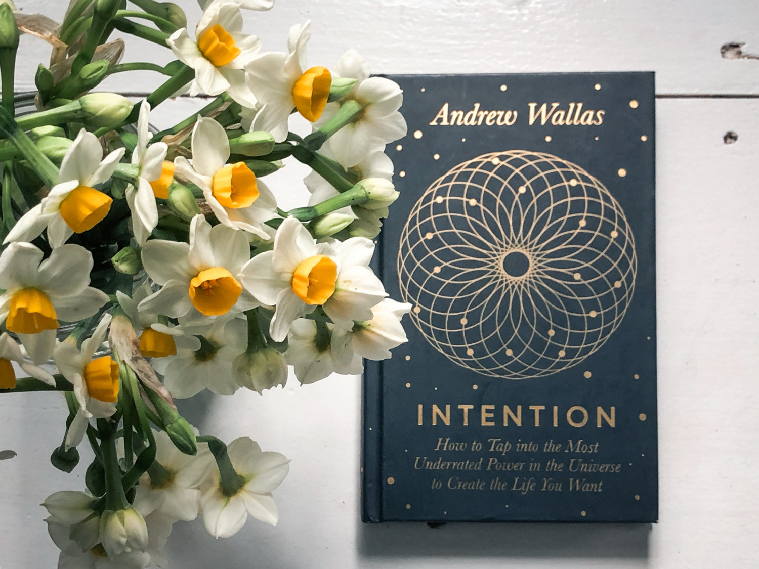 Ladies, 4 Beautiful Books to Help You Flourish in 2025 – Carla Coulson